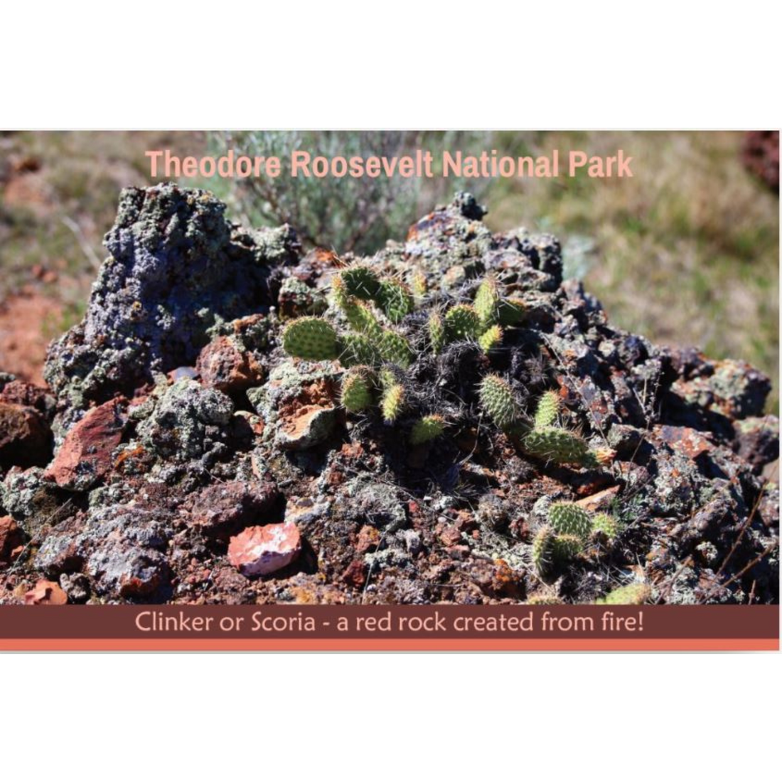 Geology Clinker Postcard – Theodore Roosevelt Nature & History Association