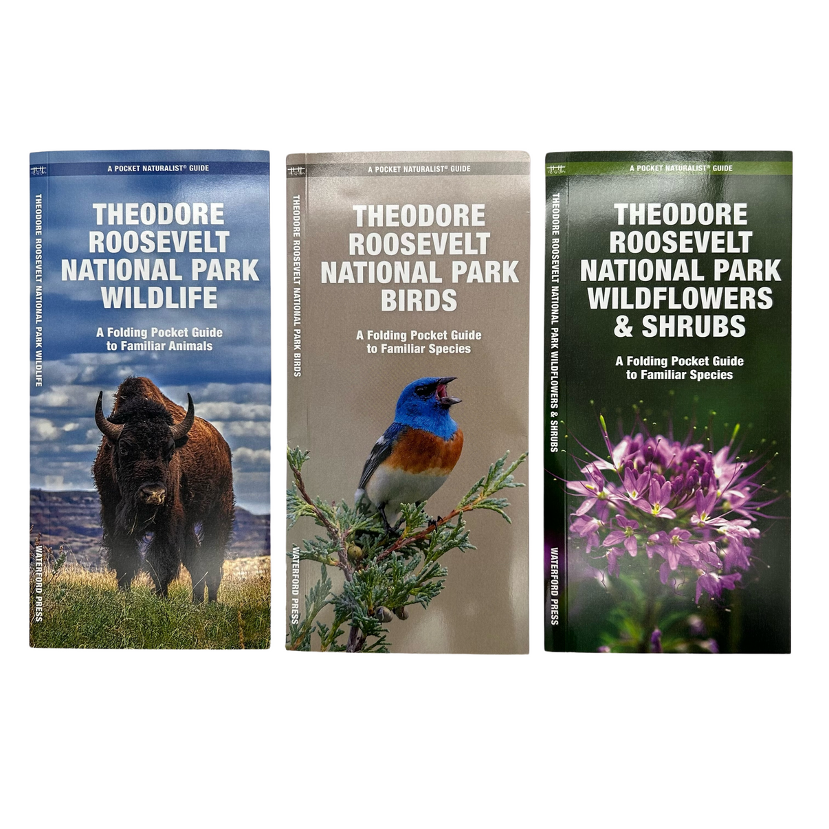 Pocket Naturalist Guides – Theodore Roosevelt Nature & History Association