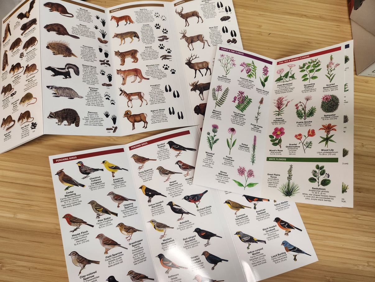 Pocket Naturalist Guides – Theodore Roosevelt Nature & History Association